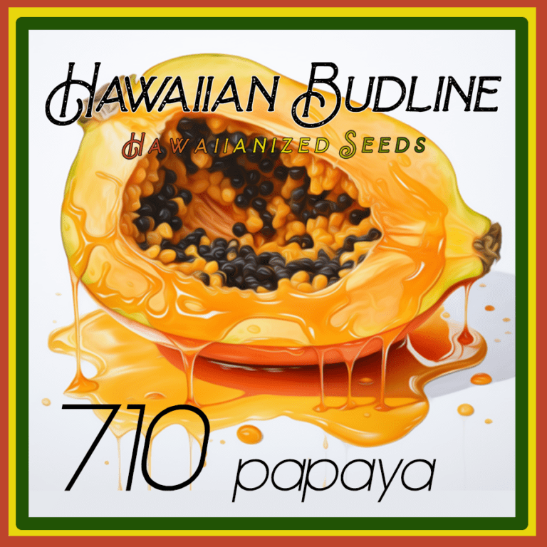 710 Papaya - Deep Green Genetics