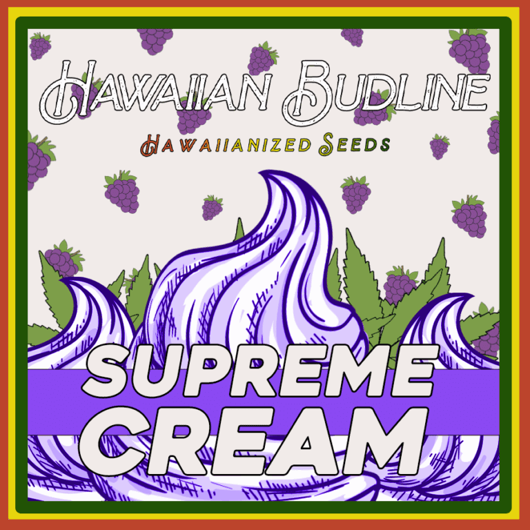 Supreme Cream - Deep Green Genetics